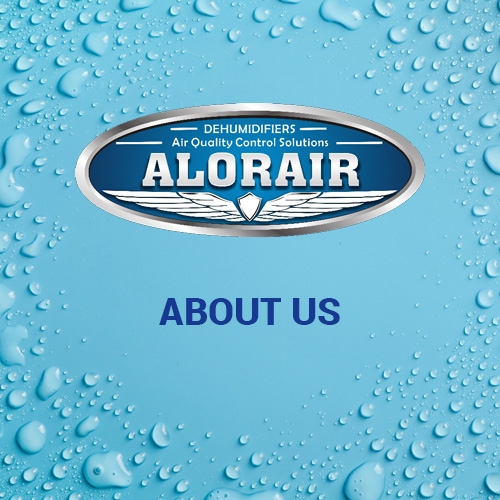 ABOUT US - Alorair